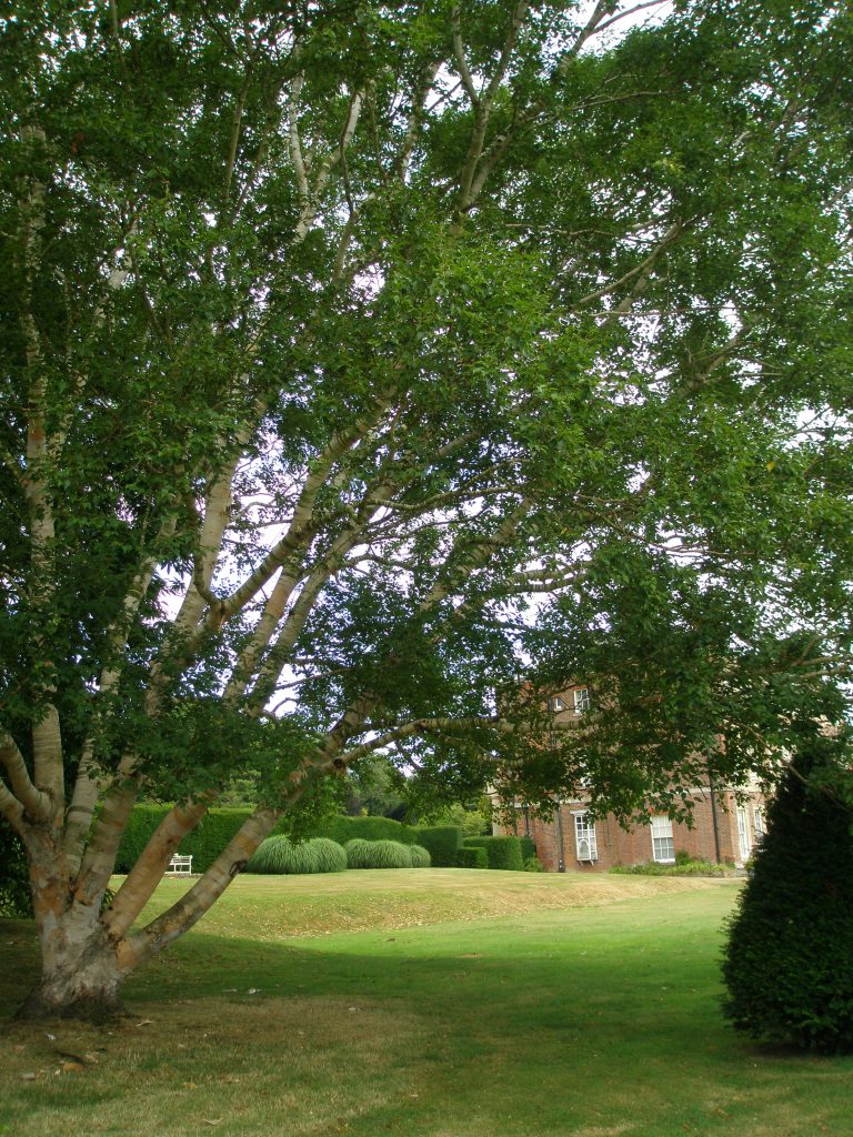 Part Five. Rambling Through the Gardens & Estates of Kent, England ...