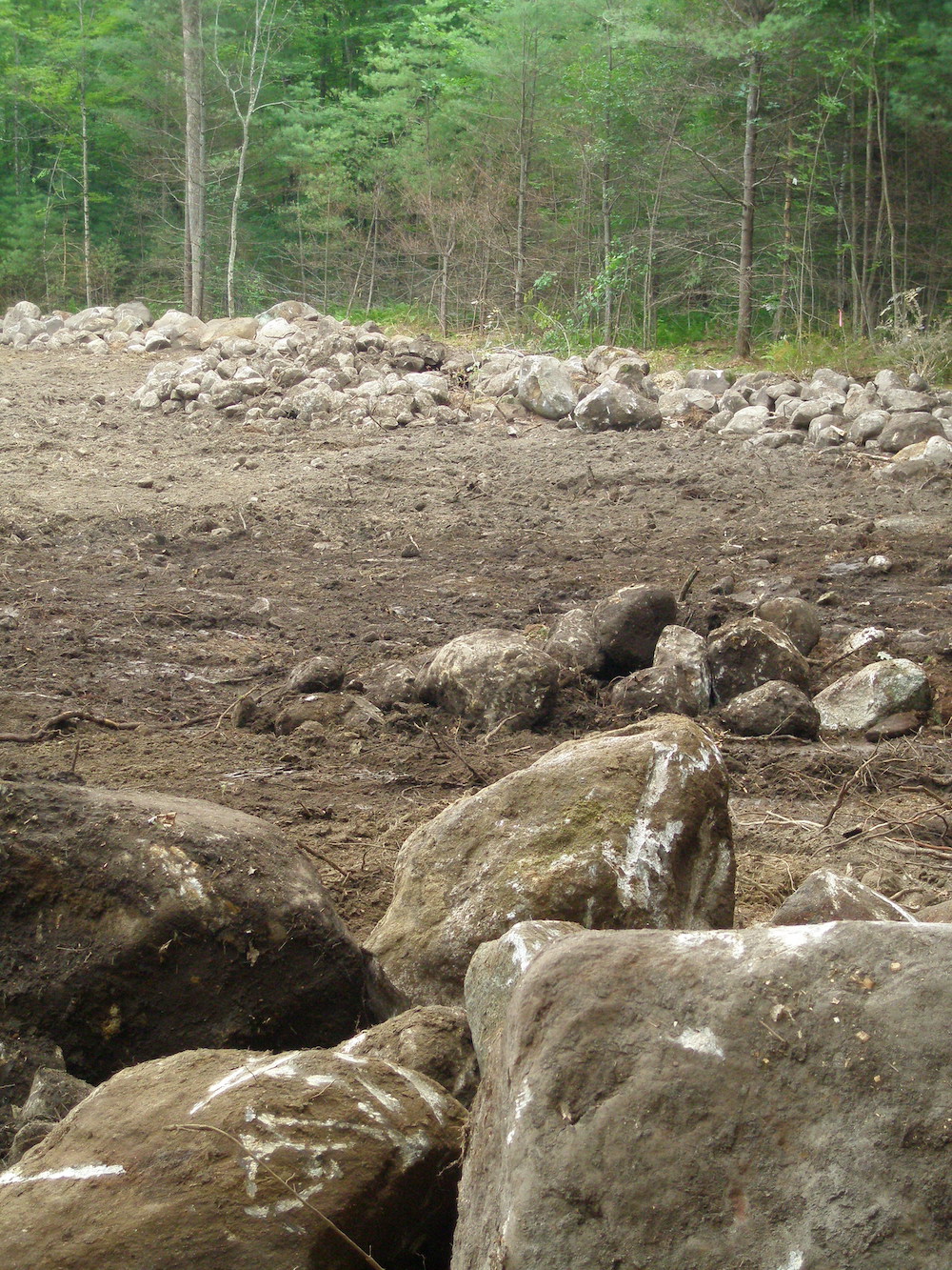 How Gardens are REALLY made: the History of my Raised Terrace Garden ...